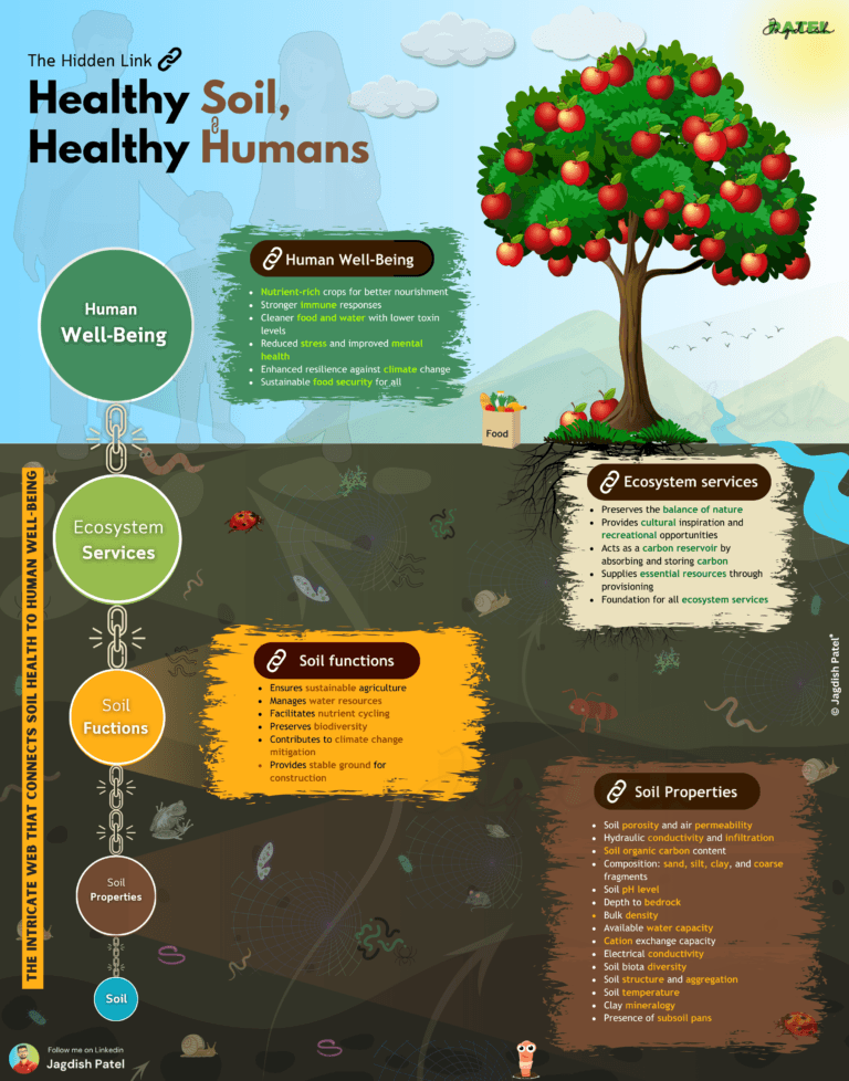 The Hidden Link: Healthy Soil, Healthy Humans : 5 Benefits